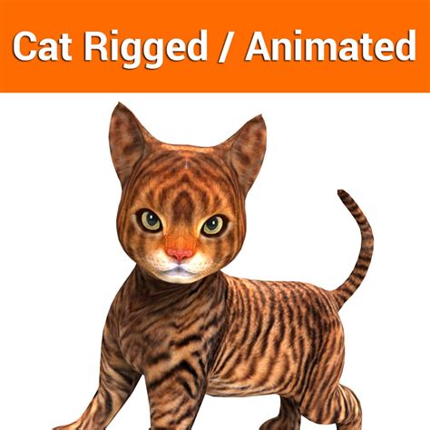 Cat Rigged Animation 3d Model Turbosquid 1204432