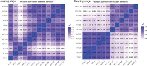 Biocell Free Full Text Transcriptome Analysis Reveals Potential