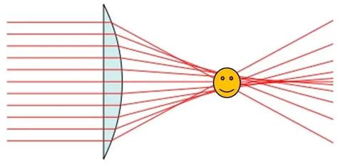 Condenser Of A Microscope Whats The Function And Why Should I Care Microscope Clarity