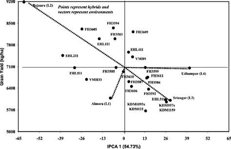 Ammi I Biplot Of Main Effects And G×e Interaction Of 21 Single Cross Download Scientific