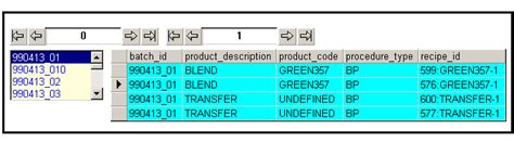Example 1 Displaying Batch Processes By Batch Id Ifix 6 1