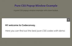 20 HTML CSS Modal Popup Examples With Code Codeconvey