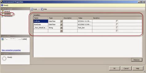 Learnsql Implementing Ssis Environment Variables