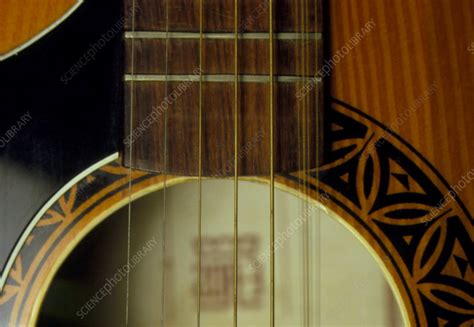 Vibration Of Guitar Strings Stock Image H628 0040 Science Photo Library