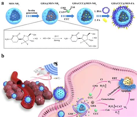 科研绘图案例:示意图 科研绘图案例:示意图
