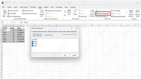 Cara Termudah Menghapus Data Duplikat Di Excel Ms Excel