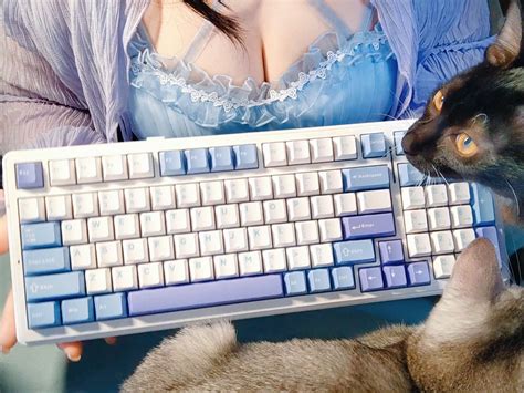 虽是卷王但未成年不要跟风买键盘 又一款蓝紫奶白色键盘开箱 狼蛛f99 星落凝云 新月轴 键盘打字音种草分享 小何脆啵啵 小何脆啵啵 哔哩哔哩视频