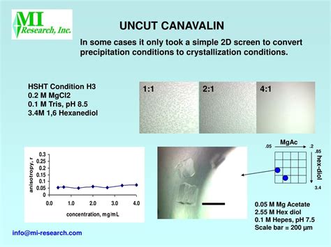 Ppt Quantitative Screening For Crystallization Conditions Powerpoint