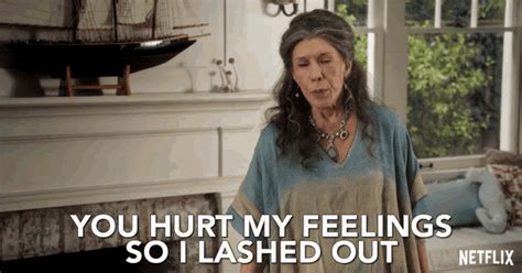 You Hurt My Feelings I Lashed Out  You Hurt My Feelings I Lashed