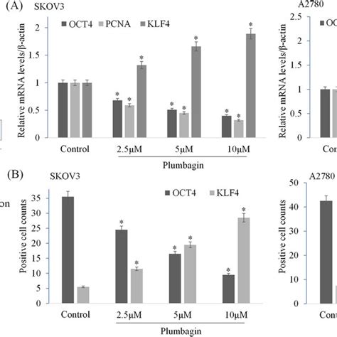 The Quantitative Pcr Data Suggested Reduced Oct4 And Pcna Mrna