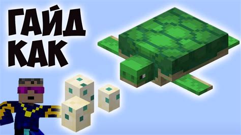 Черепаха Майнкрафт яйцо черепахи майнкрафт Что едят черепахи в майнкрафт и как сделать