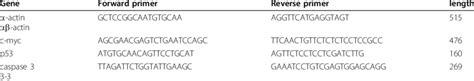 Primer Sequences And Pcr Product Lengths For B Actin Caspase 3 C Myc Download Table
