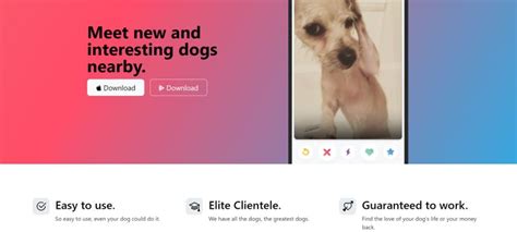 Aditya Kumar On Linkedin 100daysofcode Webdevelopment Bootstrap