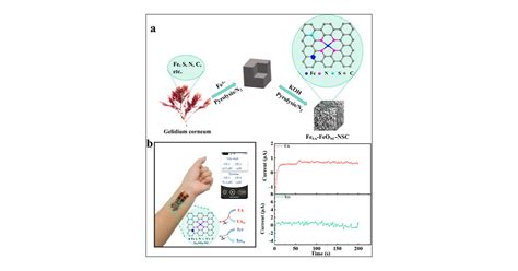 Fe Single Atom And Fe Cluster Coupled N S Co Doped Carbon Nanomaterial Based Flexible