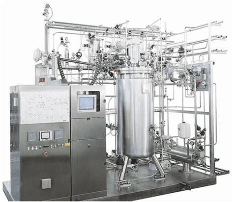 Batch Fermentation Principles Process Applications And Evaluation Microbiology Class