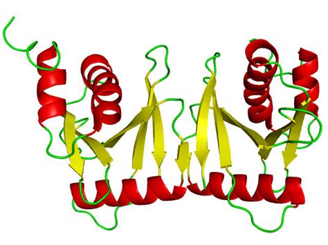 Trna Splicing Enzyme Endonuclease In Humans National Institute Of General Medical Sciences