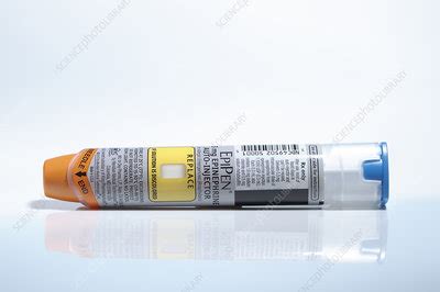 Epinephrine Auto injector - Stock Image - C028/0178 - Science Photo Library