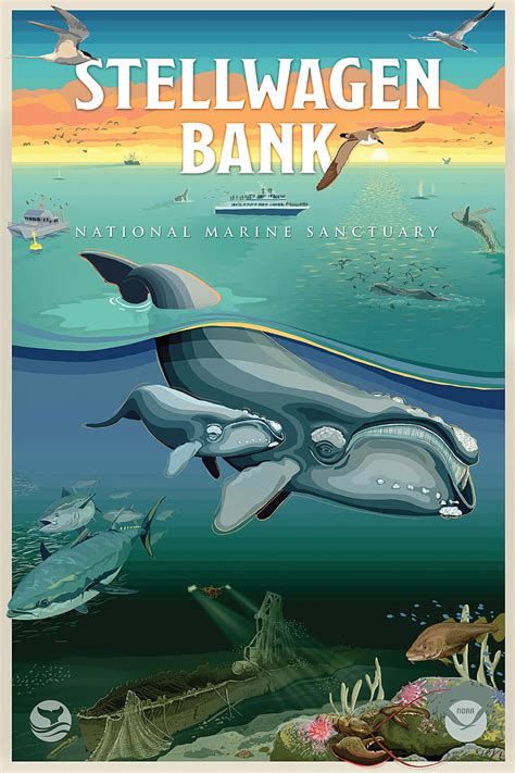 Stellwagen Bank National Marine Sanctuary Poster | Office of National ...