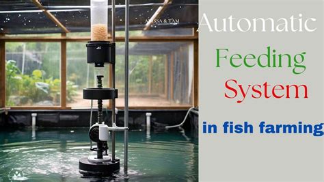 Automatic Feeding System Scale Up Your Fish Farm Production