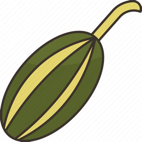 Caperberry Edible Ingredient Plant Mediterranean Icon Download On