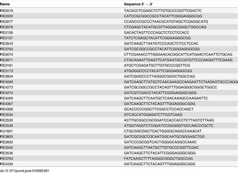 Sequence Of Oligonucleotides Download Table