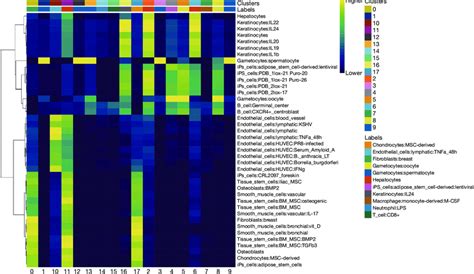 heatmap showing the identification score of each cell type by singler