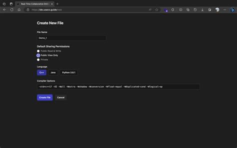 Usaco IDE ProgramVN