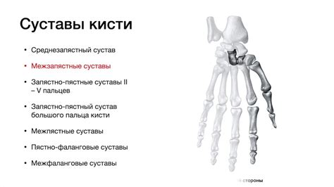 Общий обзор суставов кисти - YouTube