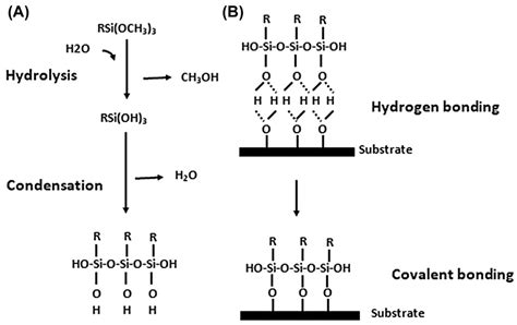 Materials Free Full Text Silane Coatings For Corrosion And Microbiologically Influenced