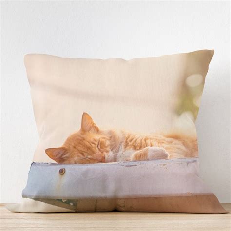 Cat Nap Pillow Etsy