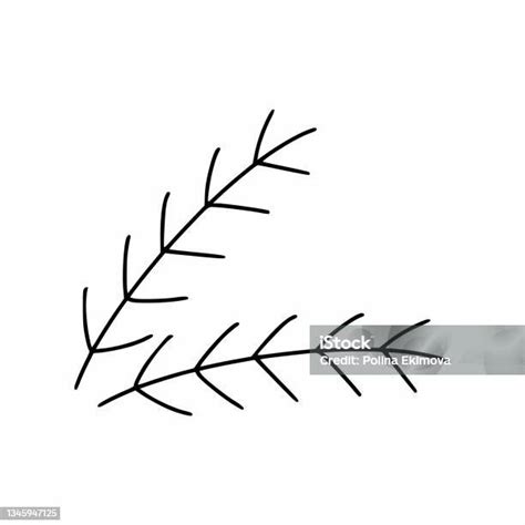 낙서 스타일의 가문비 나무 지점 벡터 선형 아이콘입니다 새해와 크리스마스 스티커 12월에 대한 스톡 벡터 아트 및 기타 이미지 12월 12월 31일 1월 Istock