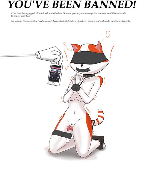 Post Marsey Marsey The Cat Rdrama Rdrama Net Rdrama Net RdramaNet Zeidre