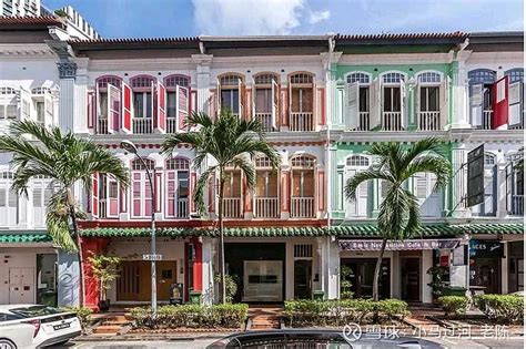 马云说房价如葱 可能是我理解错了，对他来说买套国内的房子确实和买条葱差不多阿里巴巴集团创始人的妻子zy近日大手笔买下新加坡市中心达士岭