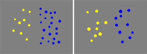An Example Of Simultaneous Stimuli Generated During A Non Symbolic