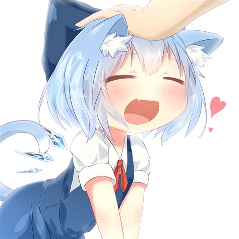 Cat Cirno Loves The Pat On The Head Rawwnime