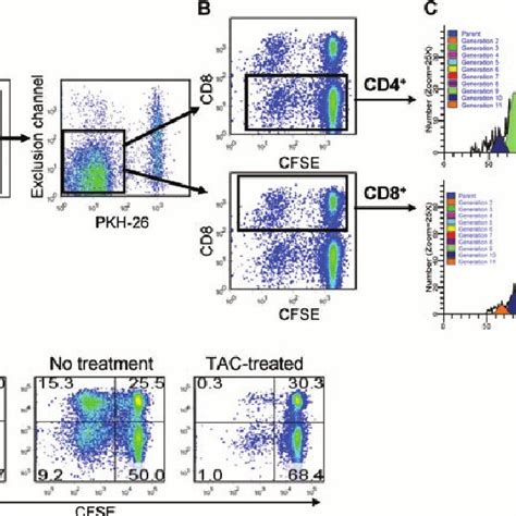 Ebv Specific Cd8 T Cells Cross React With Human Alloantigens A Download Scientific Diagram
