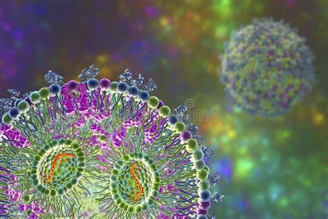 Lipid Nanoparticle MRNA Vaccine Stock Illustration Illustration Of Nanoparticle Double