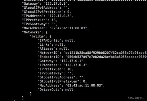 docker容器——网络模式 容器的overlay网络模式 csdn博客