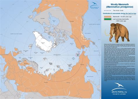 Woolly Mammoth Distribution And Movement During The Last Ice Age