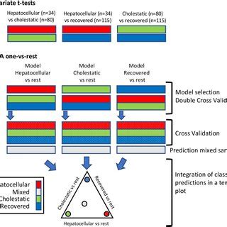 Schematic Workflow Of Data Analysis And Modelling Strategy Download Scientific Diagram
