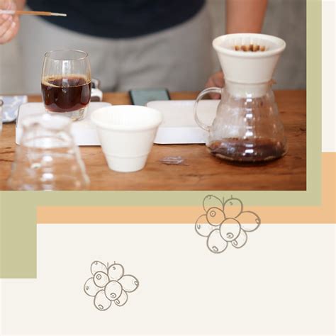 Sack Coffee تقييم حبات البن عندنا🌱 🌐 Facebook