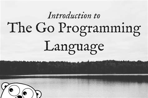 Introduction To The Go Programming Language Speaker Deck