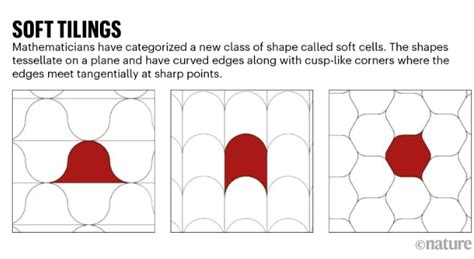 Mathematicians Discover A New Class Of Shapes The Stute