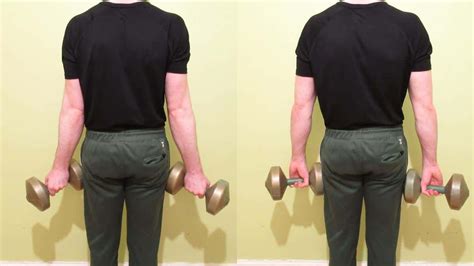 dumbbell wrist twist exercise for forearms tutorial