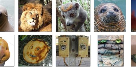Ai Pareidolia Can Machines Spot Faces In Inanimate Objects Revolutionizing The Future With Ai