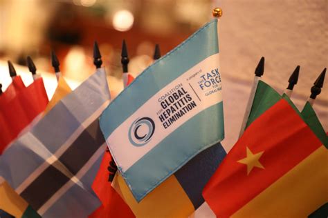 The Task Force At The 80th United Nations General Assembly The Task