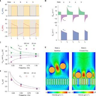 Characterization Of Pulsatile Flow Generated By The Microfluidic Download Scientific Diagram
