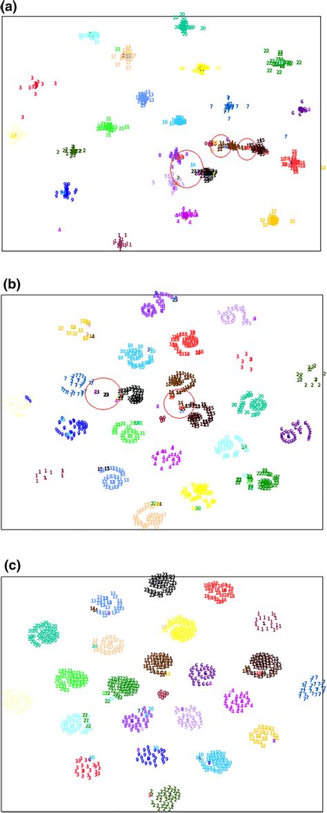 Use The T‐sne Method To Display The Test Set Features Extracted By The