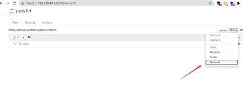 jupyter notebook 未授权访问漏洞 joker0xxx3 s blog