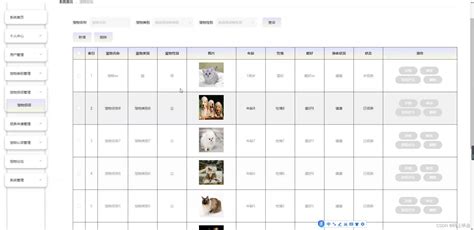 Springboot宠物领养救助平台的开发与设计管理系统vue Csdn博客